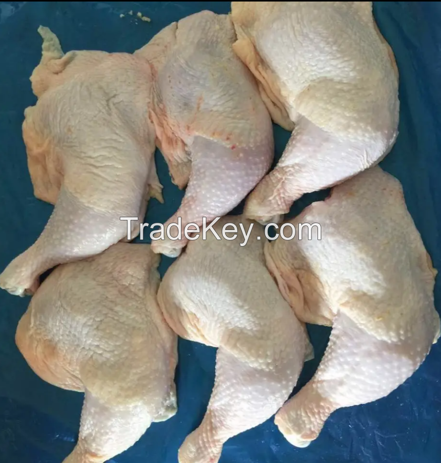 Halal and Non-halal Frozen Whole Chicken, Frozen Chicken Feet and Frozen Chicken Parts By BODEX ...