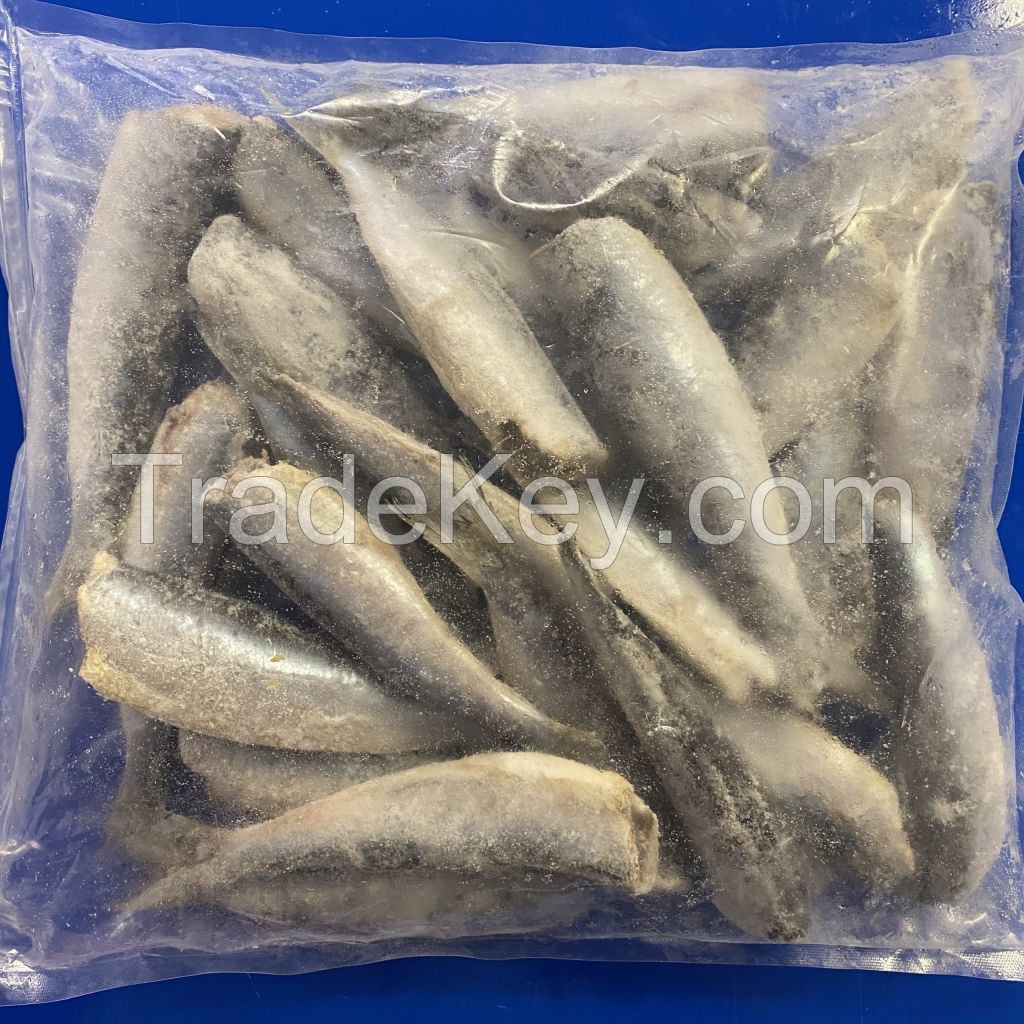 Fresh Frozen Mackerel, Horse Mackerel, Frozen Sardines, Frozen Whole Fish, Frozen Fish By SNC ...